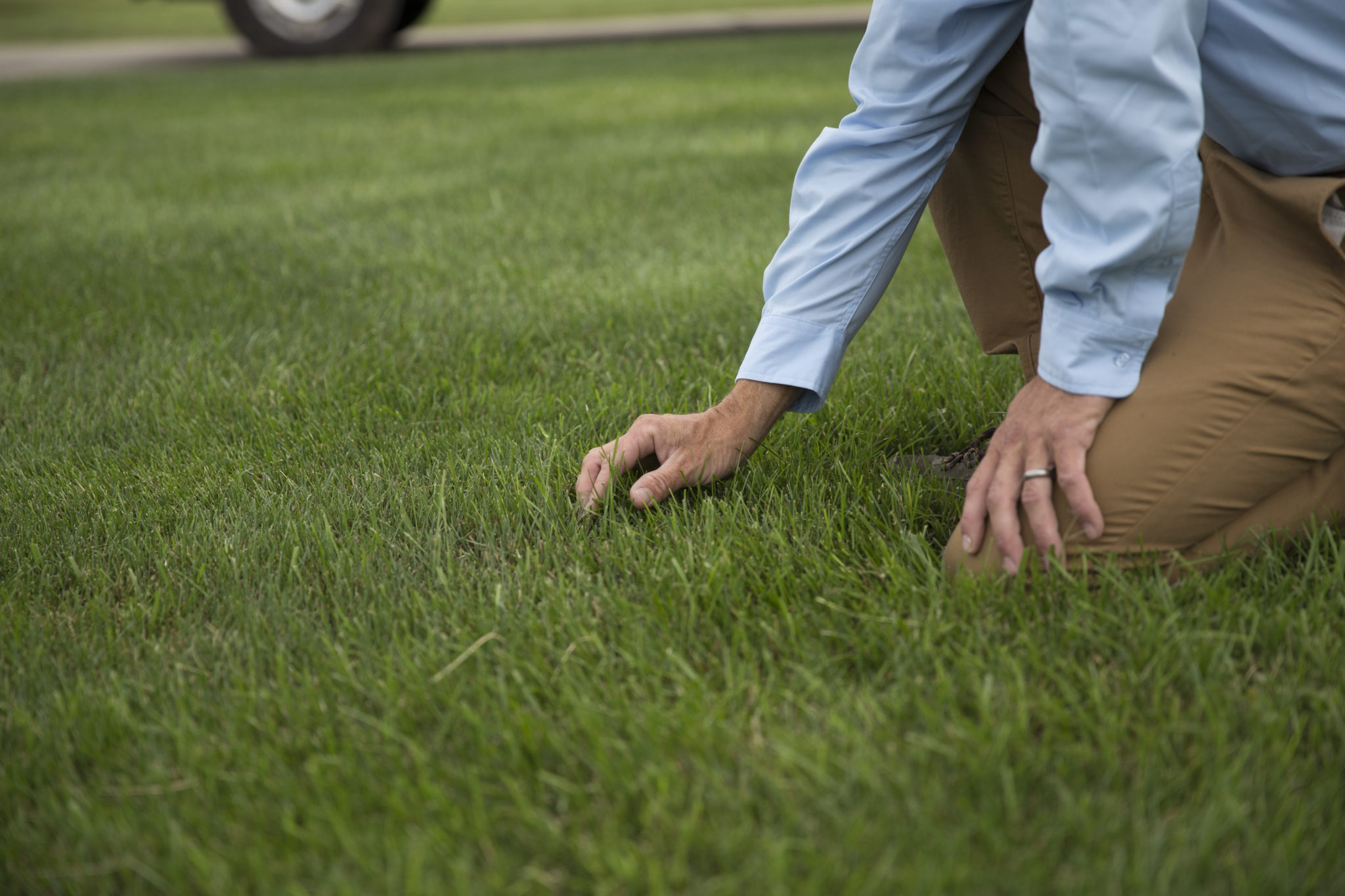 Lawn Care Company in Hollidaysburg | Lawn Doctor of Altoona - Johnstown ...