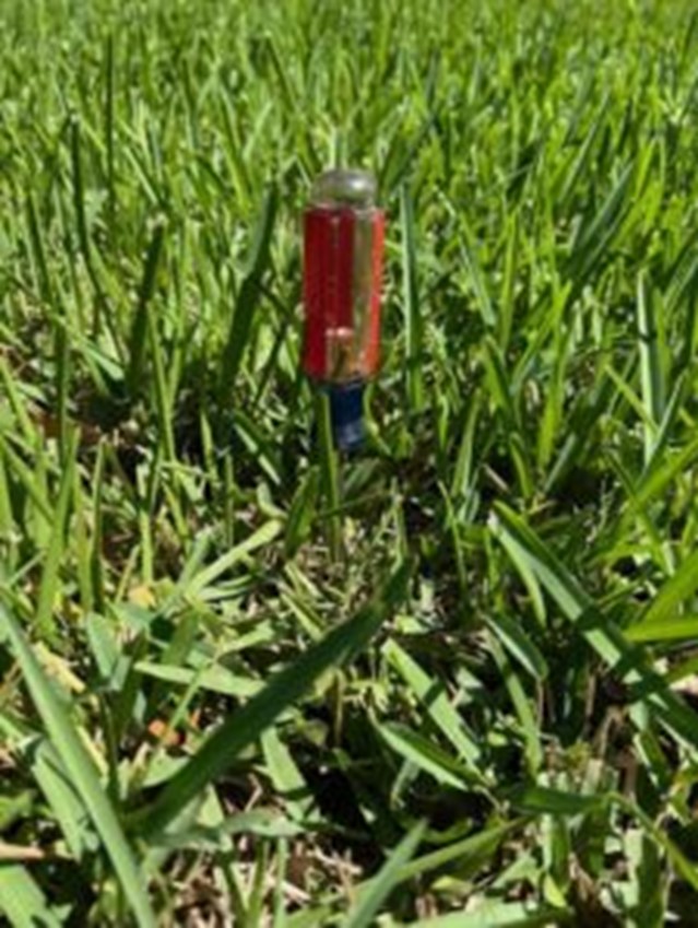 Weed Control Service in Centerville | Lawn Doctor of Beavercreek ...