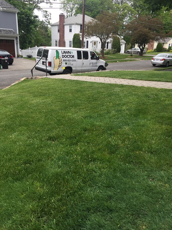 Mosquito Control In Milton | Lawn Doctor of Boston