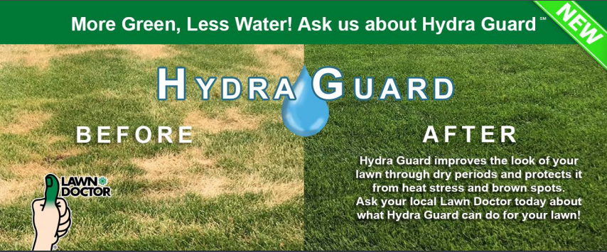 Hydra Guard in Murfreesboro - Lawn Doctor of Murfreesboro