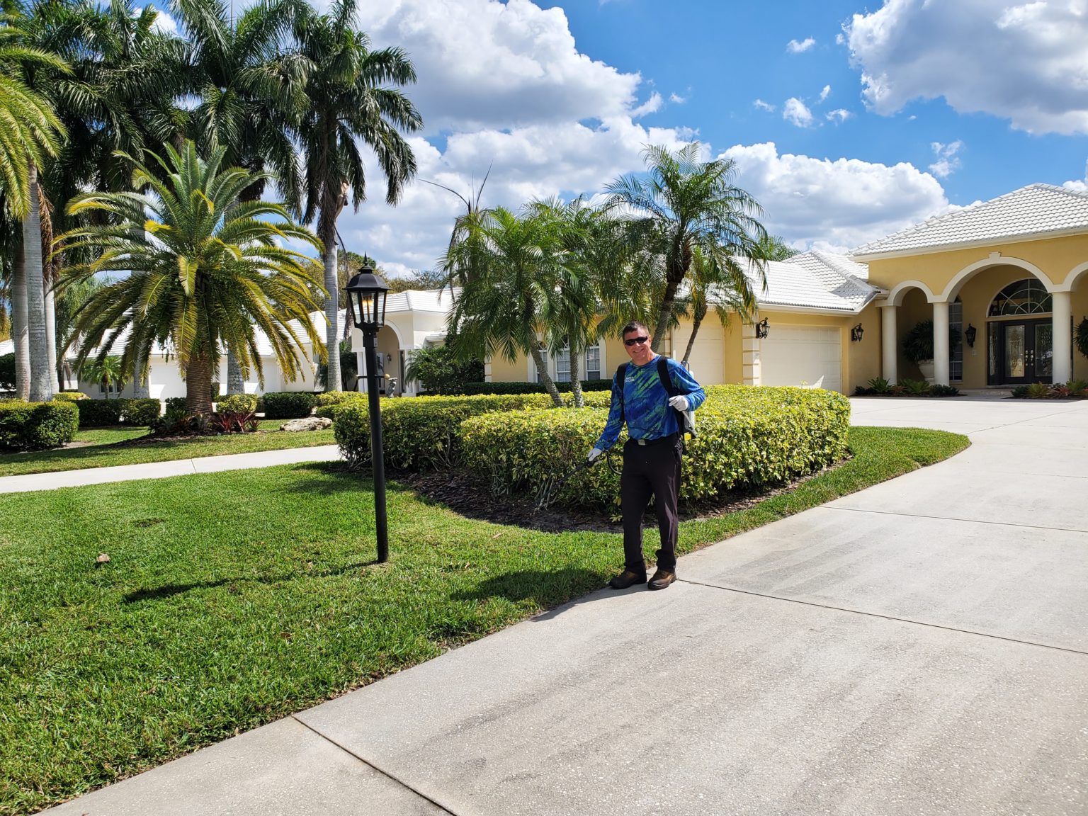 A Guide to Weed Control Services in Temple Terrace | Lawn Doctor of Tampa
