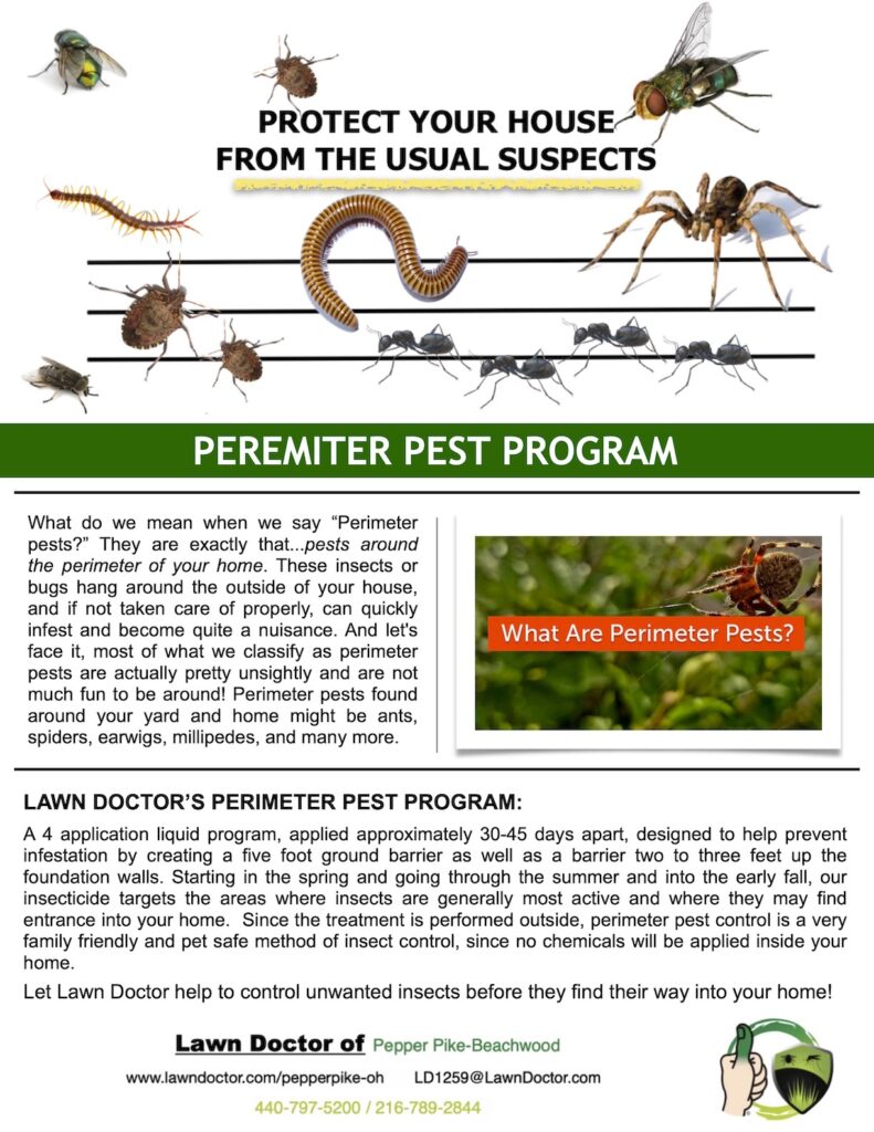 Lawn Care Service Descriptions | Lawn Doctor of Pepper Pike-Beachwood