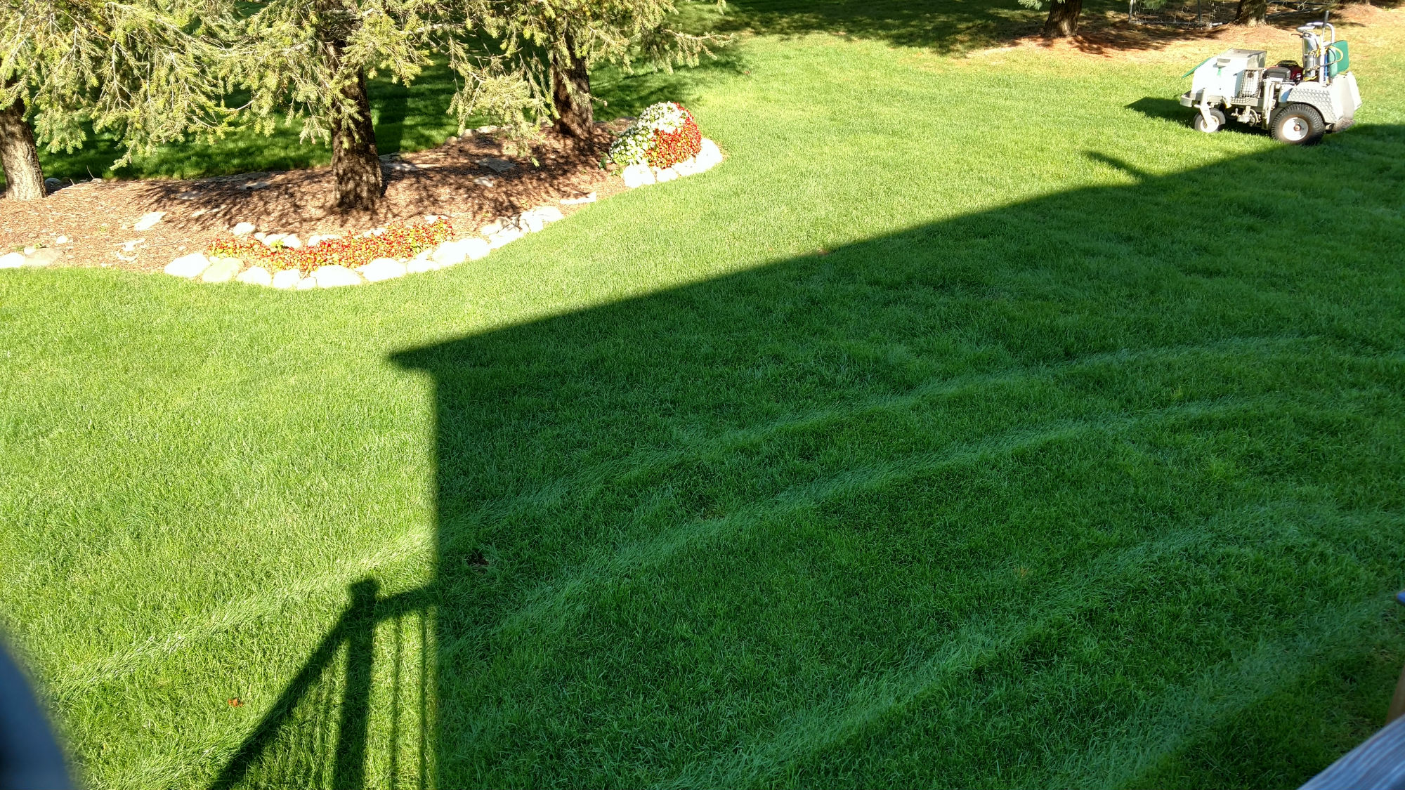 Lawn Seeding in South Bend | Lawn Doctor