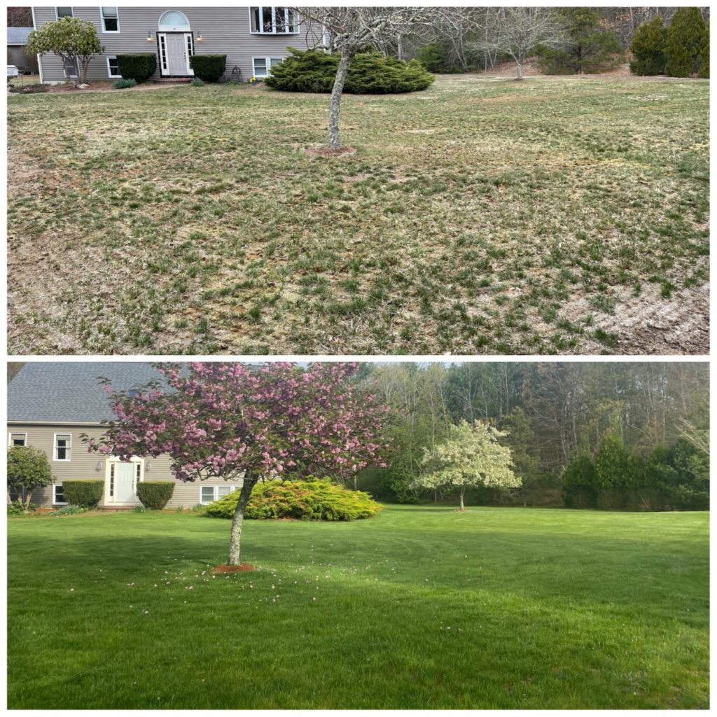 Aeration and Seeding in Massachusetts | Lawn Doctor of South Shore
