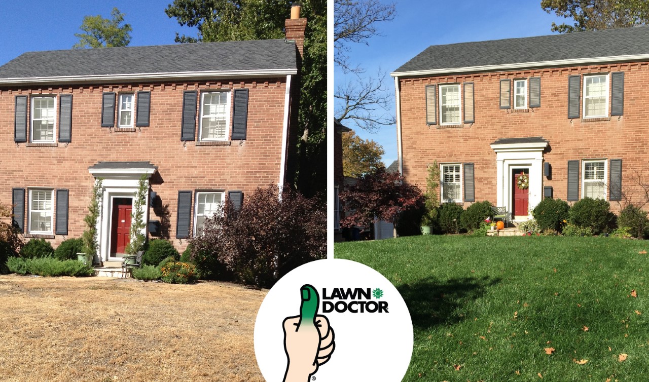 Power Seeding | Lawn Doctor of Strongsville-Stow