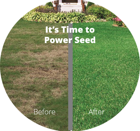 Lawn Seeding in Hackettstown | Lawn Doctor of Warren