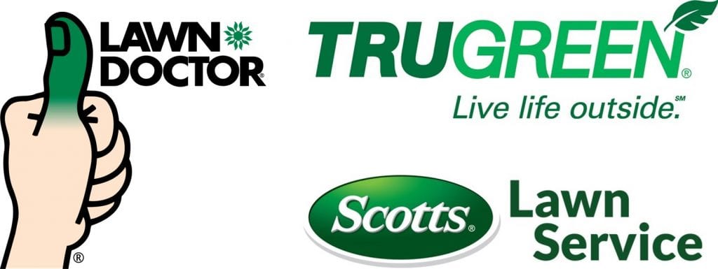 Best Lawn Care Services: Lawn Doctor vs Other Lawn Care Companies ...