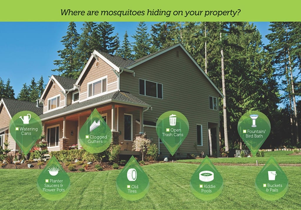Eliminate Mosquitoes in Your Before Summer | Lawn Doctor